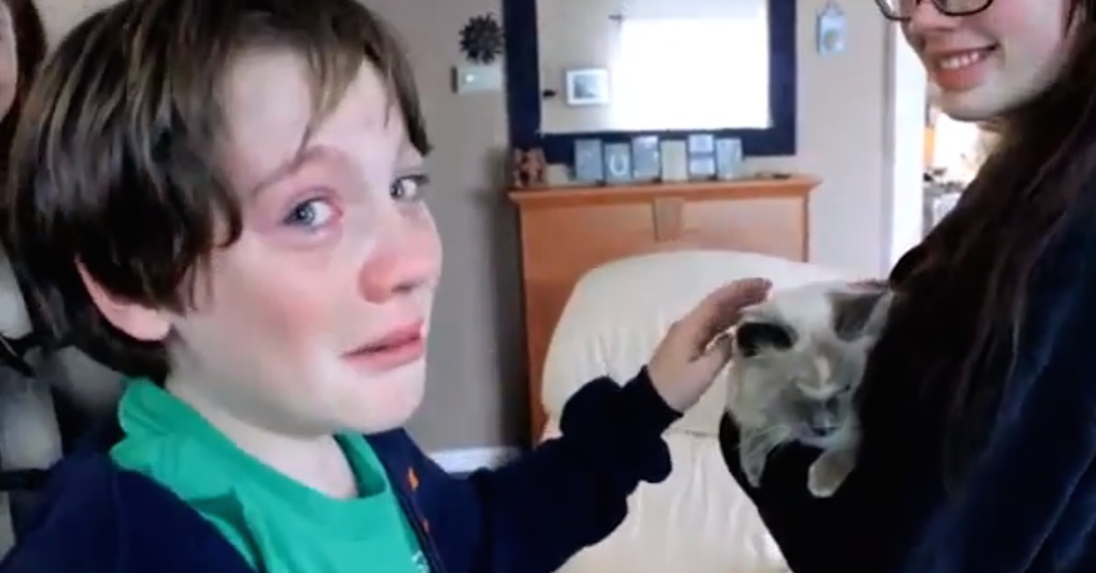 Boy Cries Tears Of Joy After Mom Finds Missing Cat | LittleThings.com
