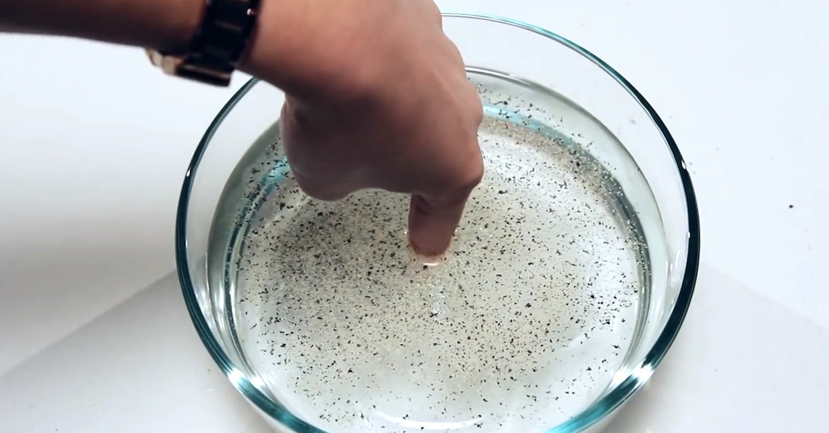 Surface Tension Of Water With Pepper