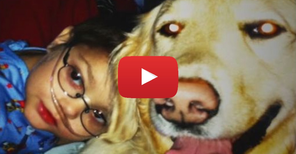 See Why A Service Dog Was Named After A Little Boy. I'm In Tears ...