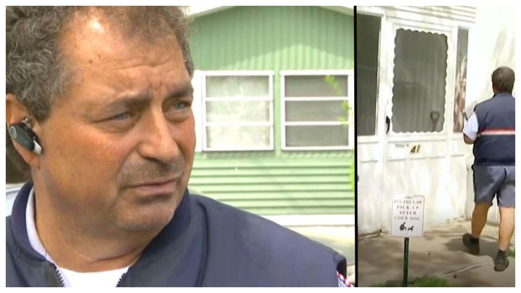 Hero Mailman Saves Unconscious Mom While Delivering Packages ...
