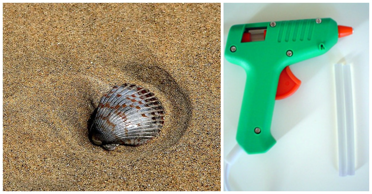 13 Best Seashell Crafts | LittleThings.com
