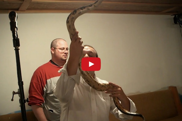 I'm Just Horrified! Breaking News: Preacher Who Regularly Handled ...