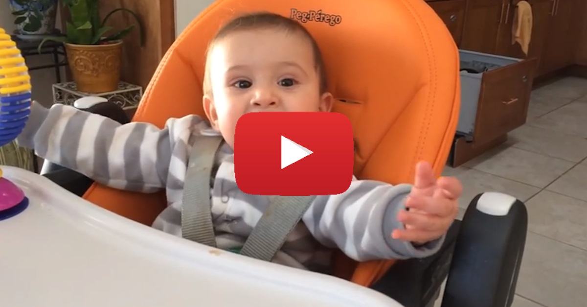 Family Dog Helps Baby Say 'Dada' For The First Time! Aww, So Adorable ...