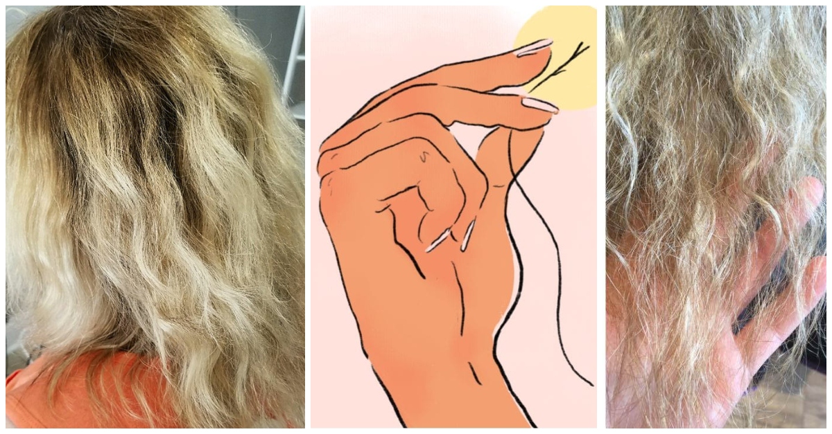 9 Cheap And Easy Ways To Prevent Split Ends At Home | LittleThings.com