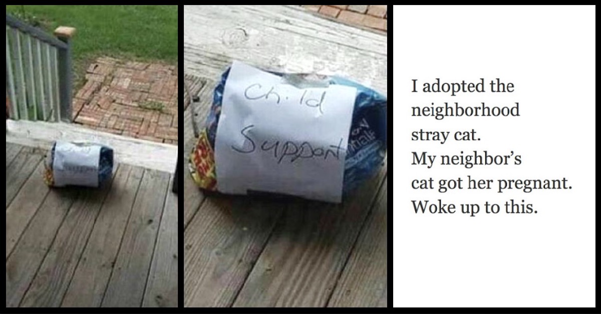 These Funny Neighbors Are All Just Trying To Have Some Fun ...