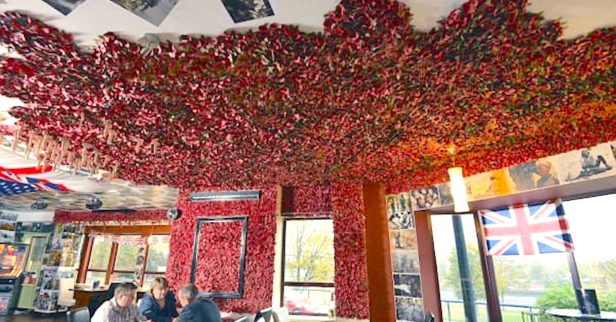 This Bar Is Covered In Over 70,000 Poppies. The Reason? This Is ...
