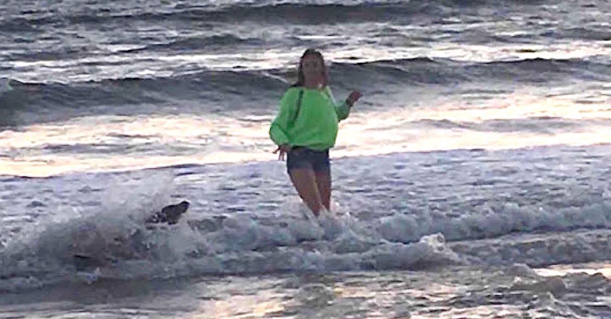 13-Year-Old Girl Attacked By Sea Lion On California Beach ...