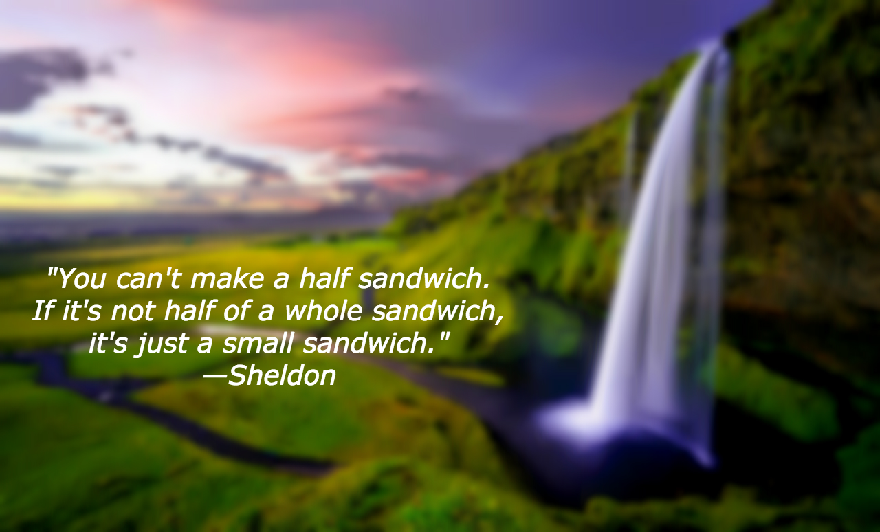 6 Sheldon Quotes From 'The Big Bang Theory' | LittleThings.com