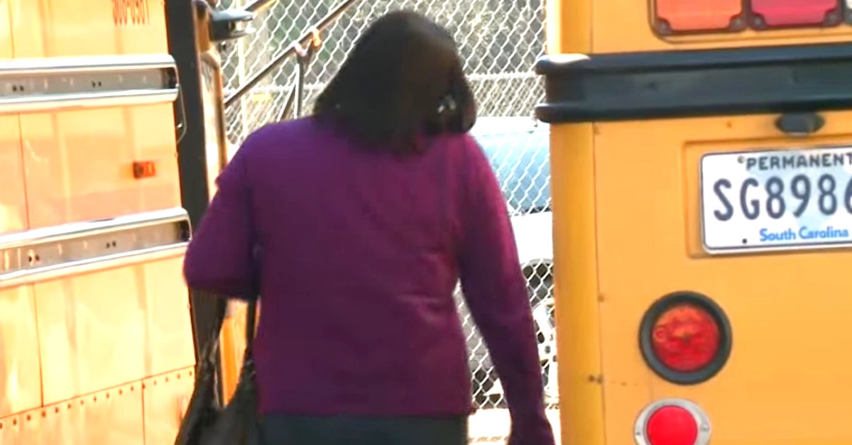 Bus Driver Is On Her Normal Route. Then She Sees THIS On The Road And ...