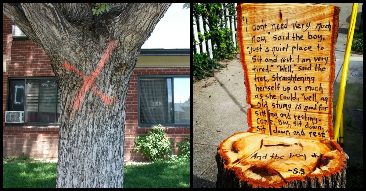 Tree Stump In California Is Turned Into 'The Giving Tree ...