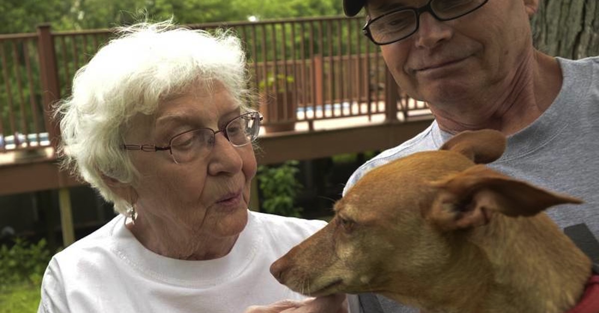 84-Year-Old Grandma—And Hero—Saves A Dog From Certain Death ...