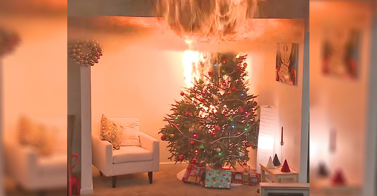 They Do THIS To The Family Christmas Tree. 40 Seconds Later, The Room ...