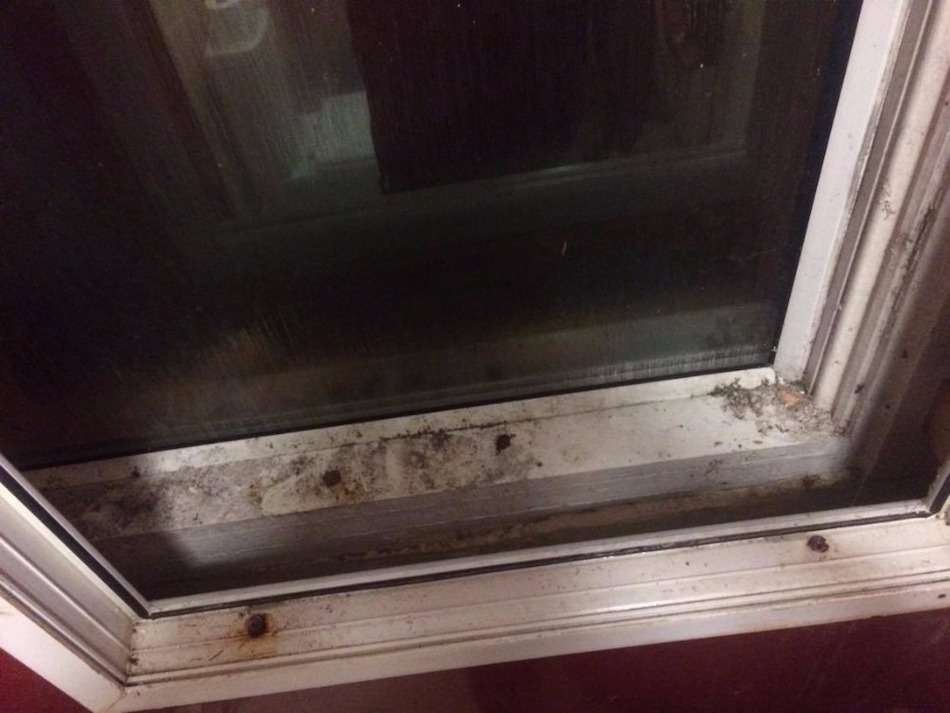 Date Throws Poop Out Window, Then Gets Stuck Inside | LittleThings.com