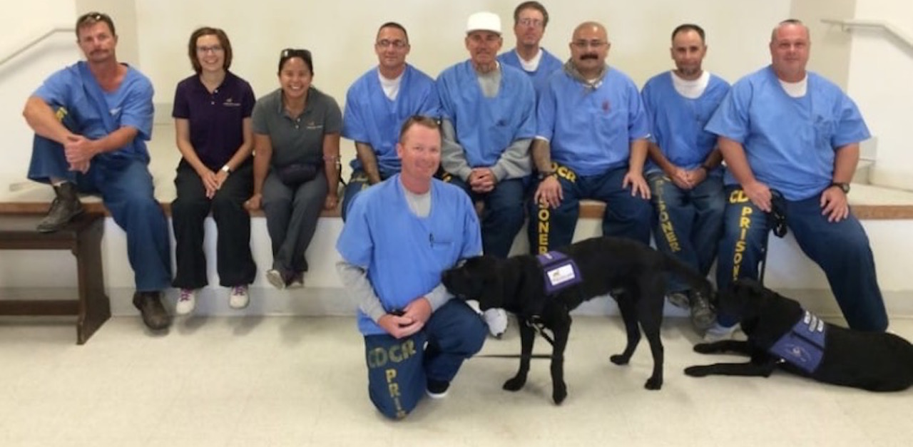 Prisoners Train Puppies To Become Service Dogs, And Learn To Heal In ...