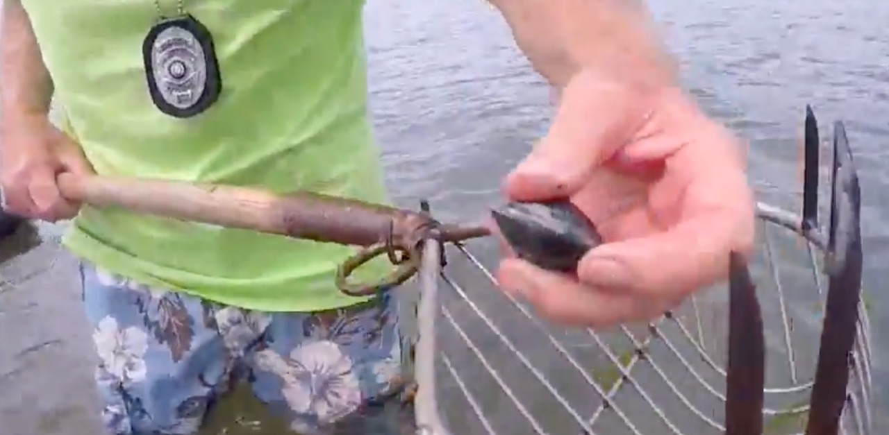 He Walks Waist-Deep Into The Water. Now Watch When He Lifts His Arms Up ...