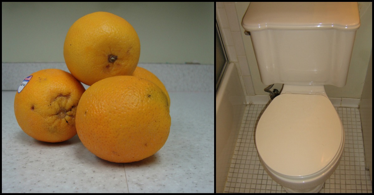 How To Poop: 10 Tips For The Best Poop Every Time | LittleThings.com