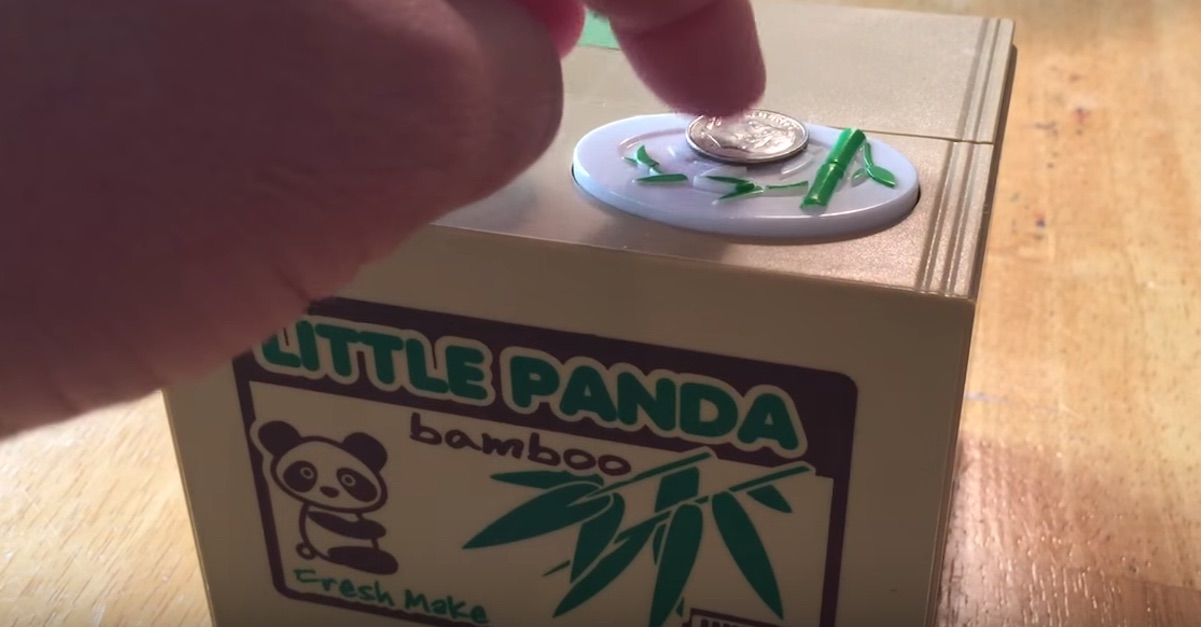 World's Cutest Piggy Bank Makes It Fun To Save Money | LittleThings.com