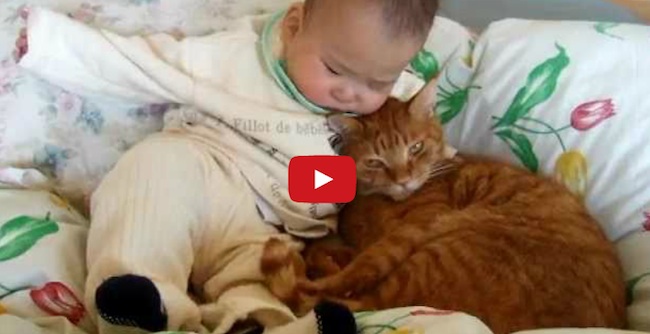 These Little Cuddle Bugs Can't Get Enough Of Each Other!! My Heart Is ...