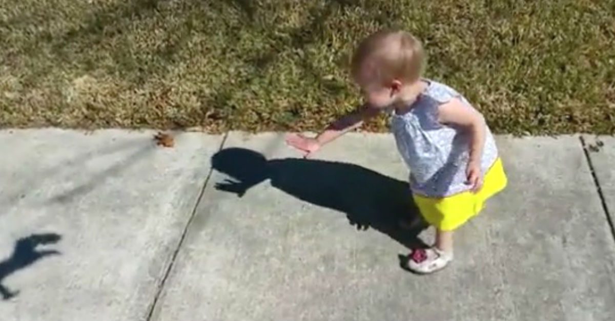 He Makes A Silly Shadow Puppet On The Sidewalk, But Wait For His ...