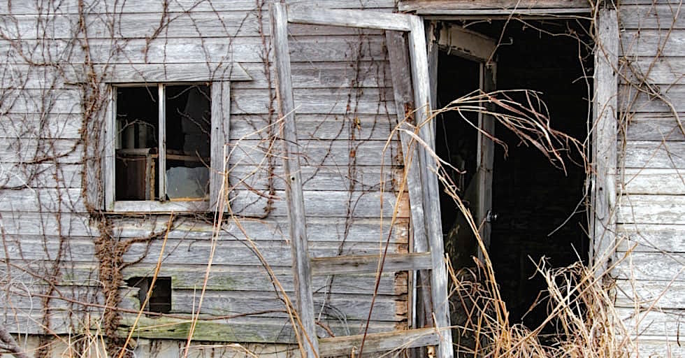 17 Brilliant Ways To Transform A Broken, Old Screen Door Into An ...