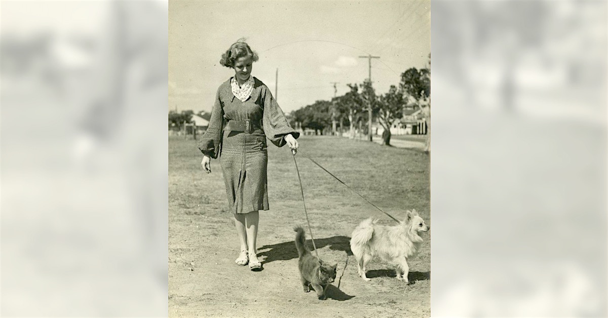 Talking To Your Pets Indicates You're Socially Intelligent ...