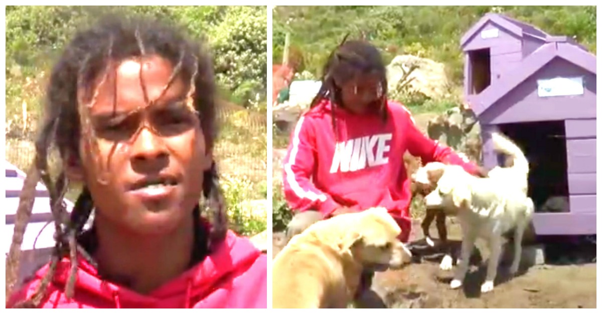 23-Year-Old Is Kicked Out, Then 21 Dogs Become Family | LittleThings.com