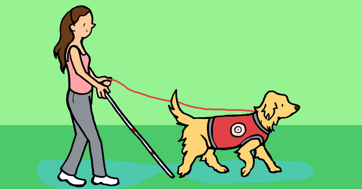 Why You Should Never Pet A Service Dog