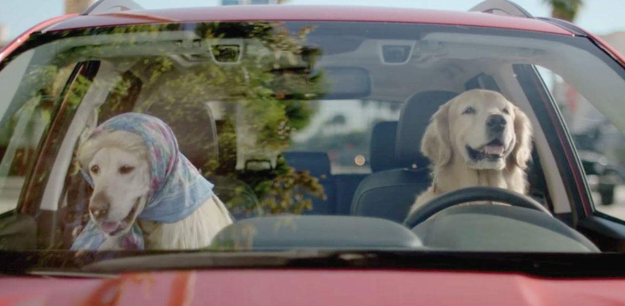 Big Dog Waits Patiently In A Car. Then You See Who Walks Out Of The ...