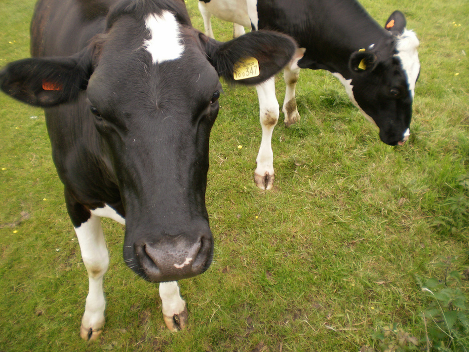 11 Amazing Midwest Slang Terms And Their Meanings | LittleThings.com