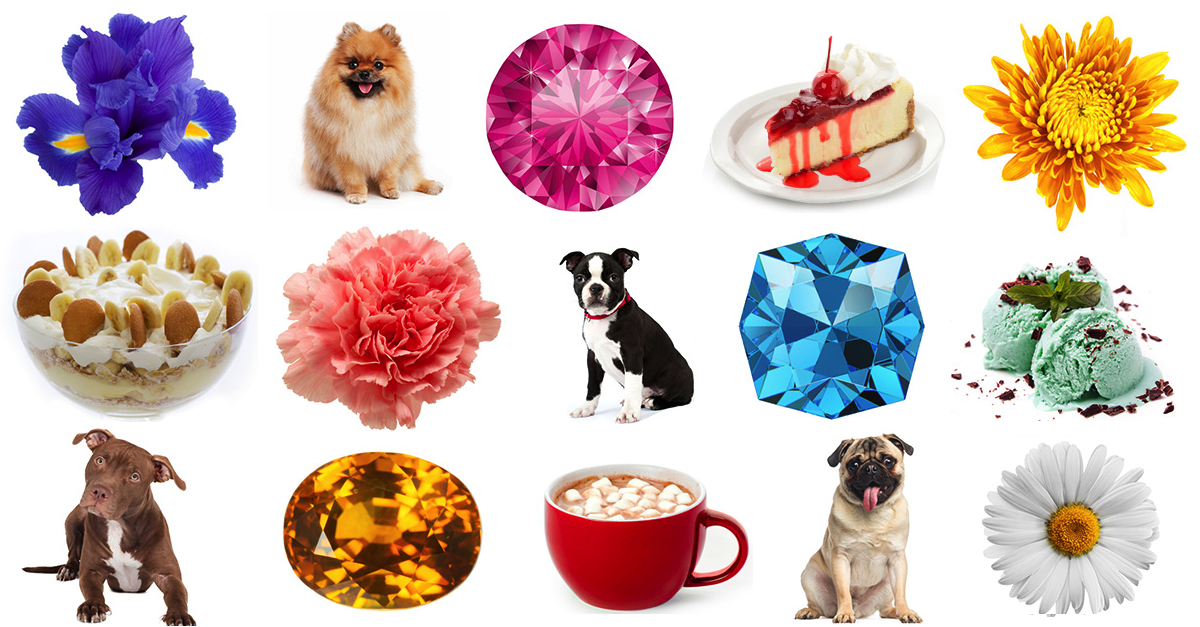 Each Birth Month Has A Special Dog, Scent, Gem, And Flower. What's ...