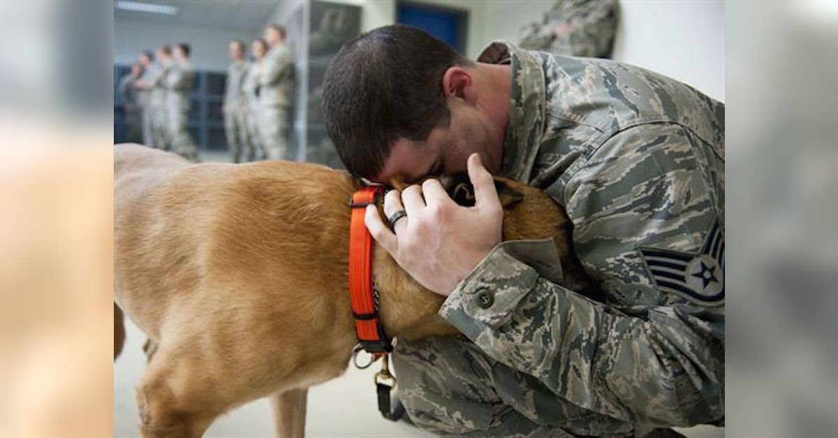 10 Ways You Can Support The Troops And Their Families | LittleThings.com