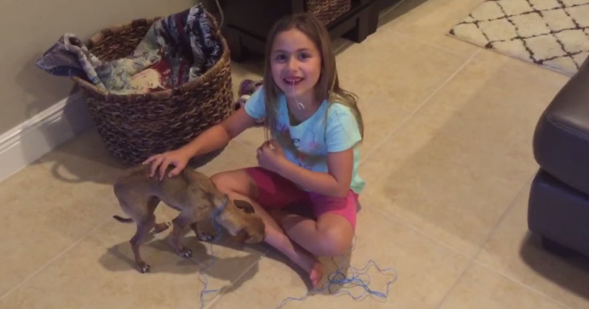 How to Pull a Loose Tooth - LittleThings | LittleThings.com