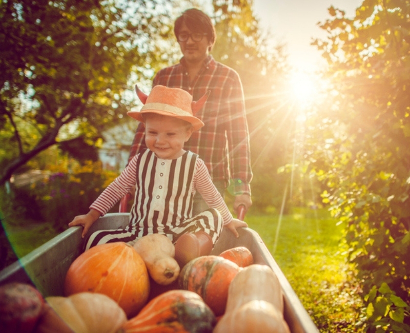 10 Activities And Crafts For Celebrating The Autumnal Equinox With Kids ...