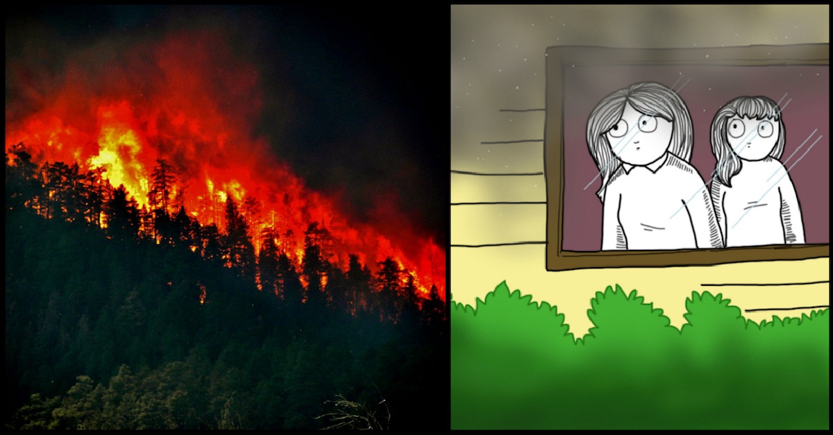 How To Stay Safe In A Wildfire: 9 Wildfire Safety Tips | LittleThings.com