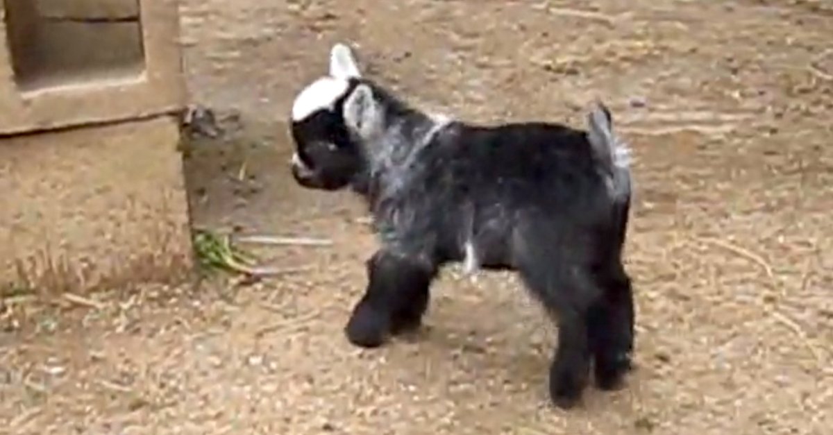 This Baby Started Acting Funny, So They Pulled Out Their Camera... Whoa ...