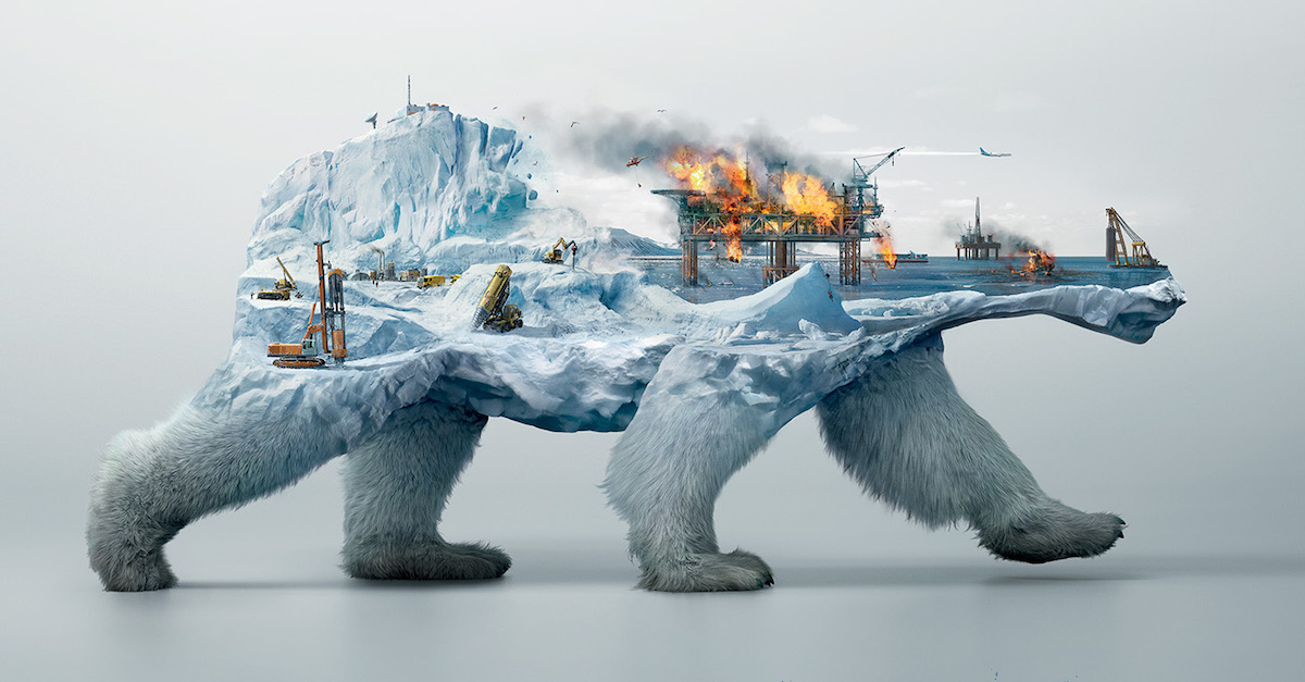 Heartbreaking Photos Force Humans To Examine Their Destruction Of ...