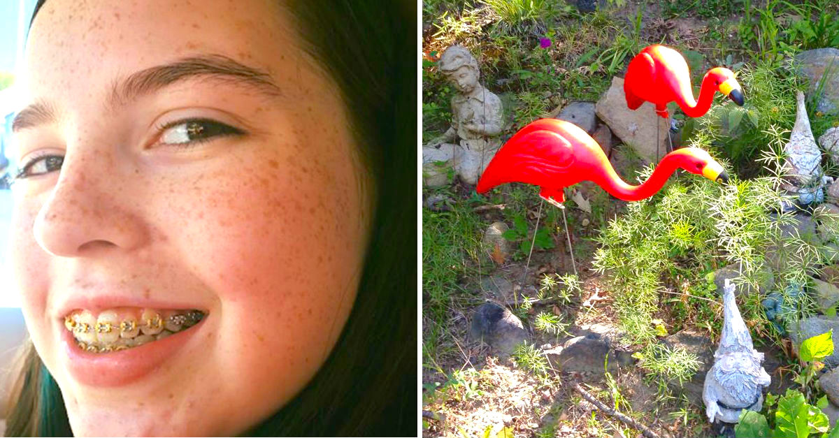 Abby Strong's Instagram, Twitter & Facebook on IDCrawl