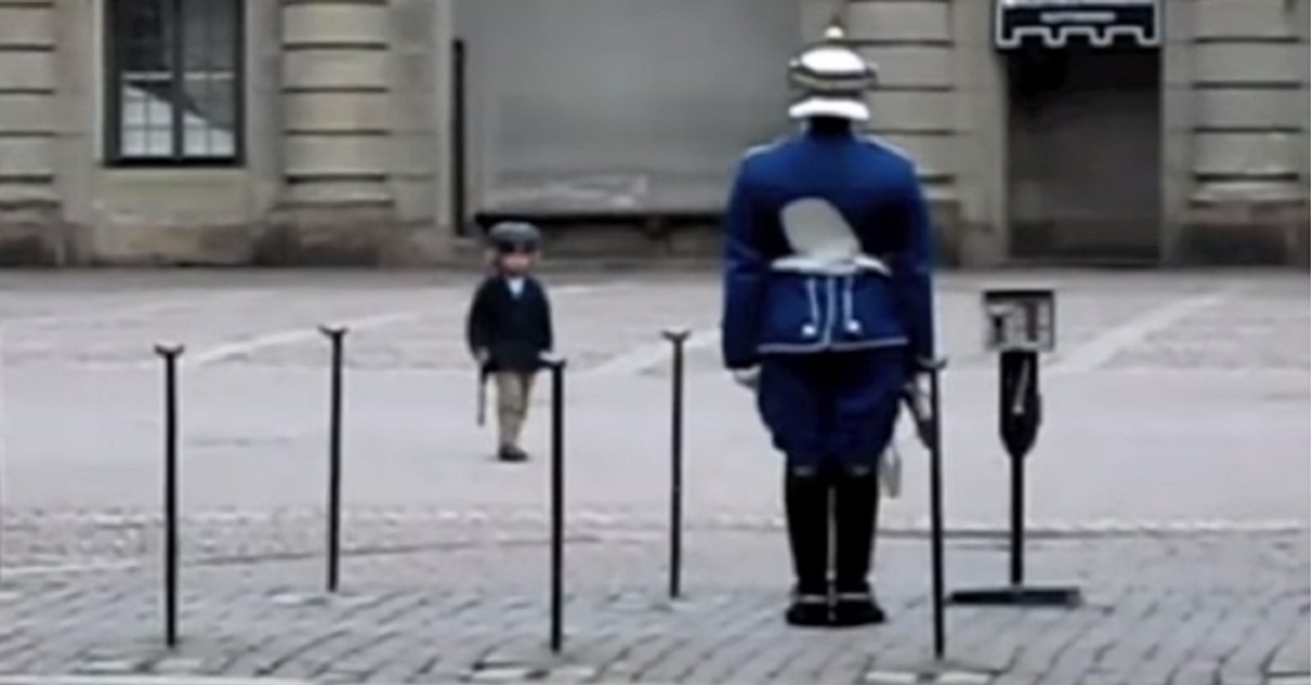 A Little Boy And A Royal Guardsman Stared Each Other Down. Then, The ...