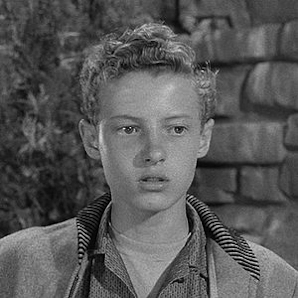 ‘Leave It To Beaver’: 11 Secrets You Never Knew About This Classic Show ...