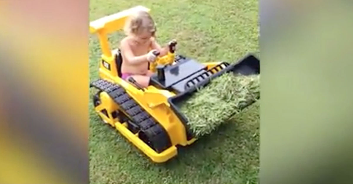 Dad Mows The Lawn, Now Watch Who Helps Him Get Rid Of The Grass Piles ...