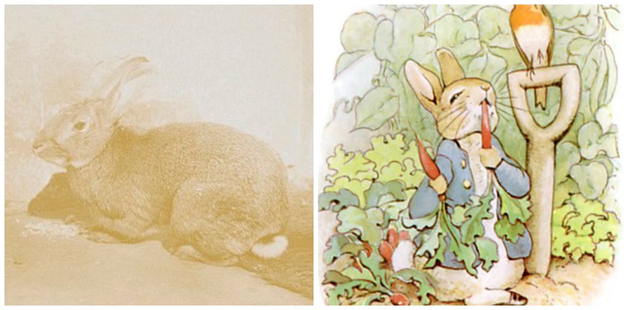 I LOVED This Book As A Kid — But Its True History? I Had No Idea ...