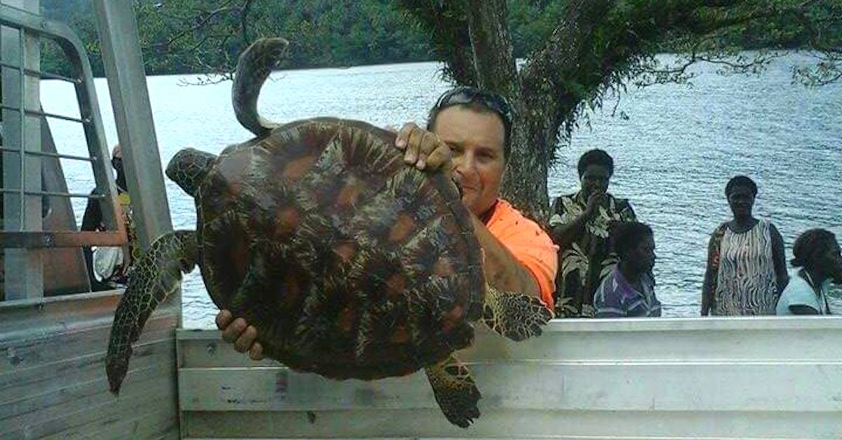 1 Scared Turtle Begs A Man For Help. When He Does THIS? My Heart Was ...