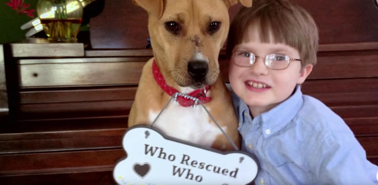 Boy With Autism Comes Out Of His Shell After Adopting A Battered Pit ...
