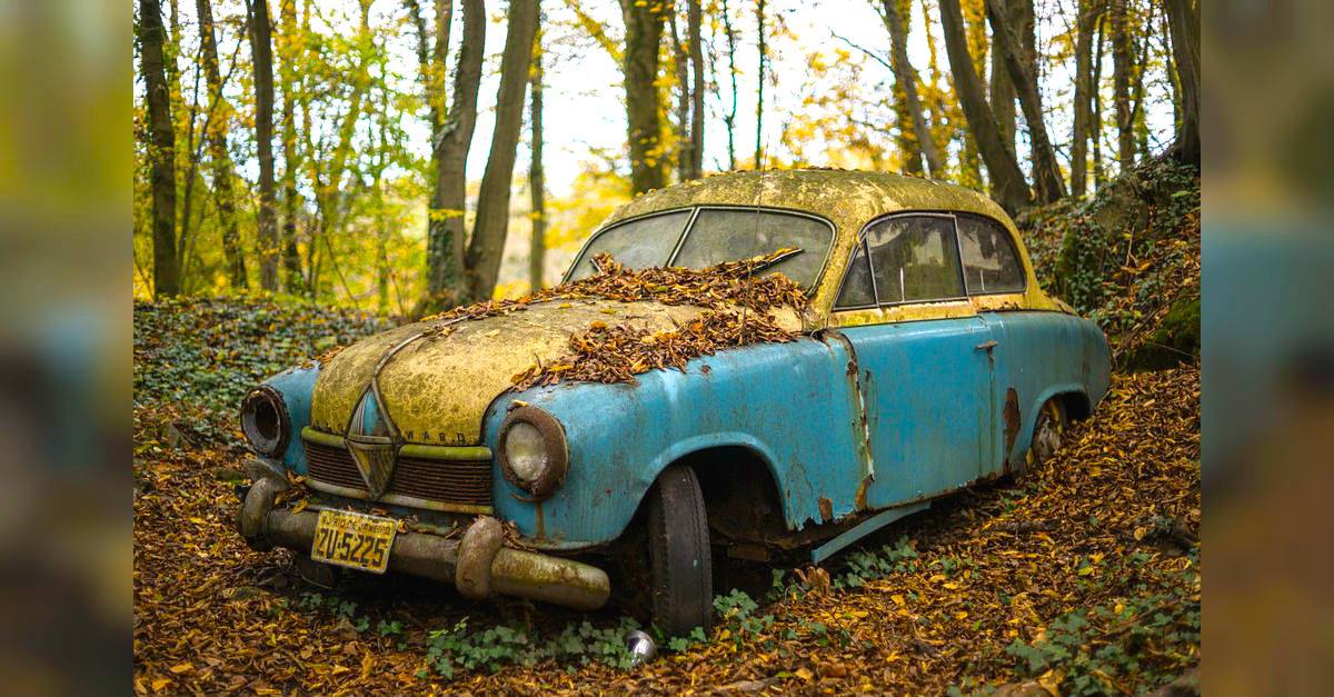 13 Photos Of Eerie Abandoned Cars | LittleThings.com