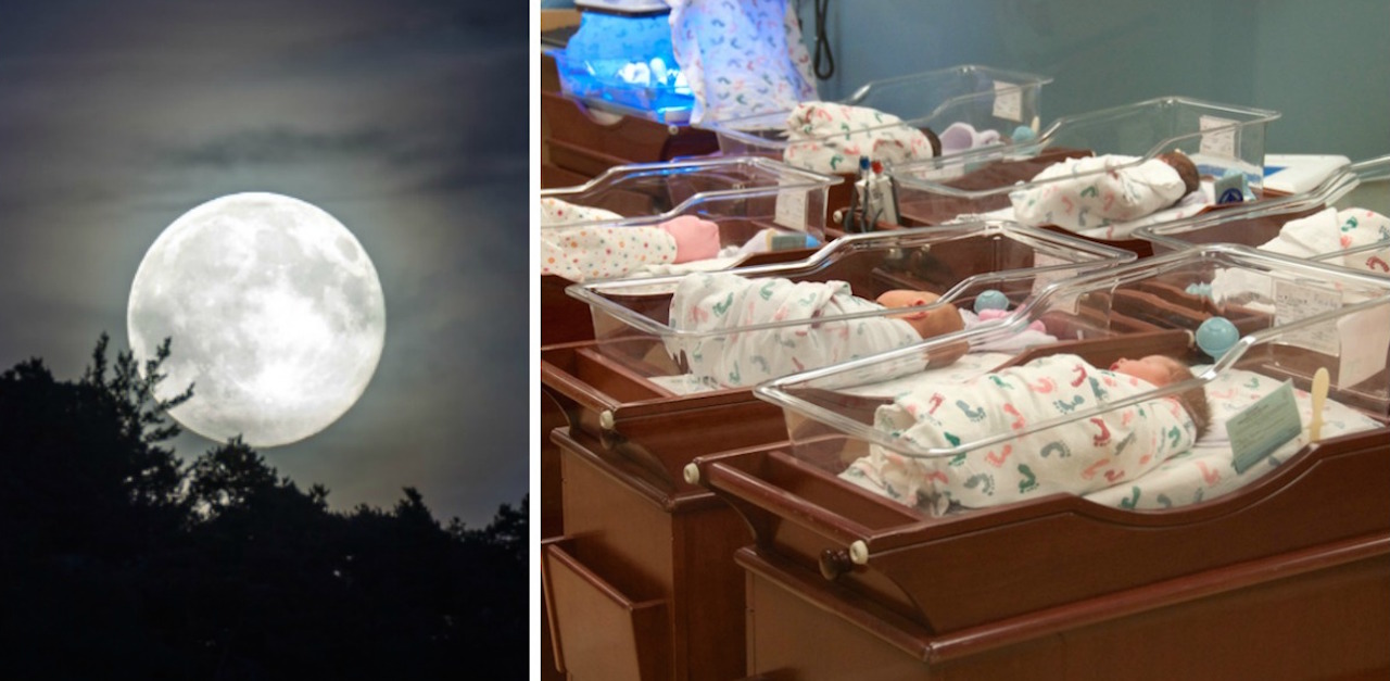 10 Surprising Things That Happen During Full Moons | LittleThings.com