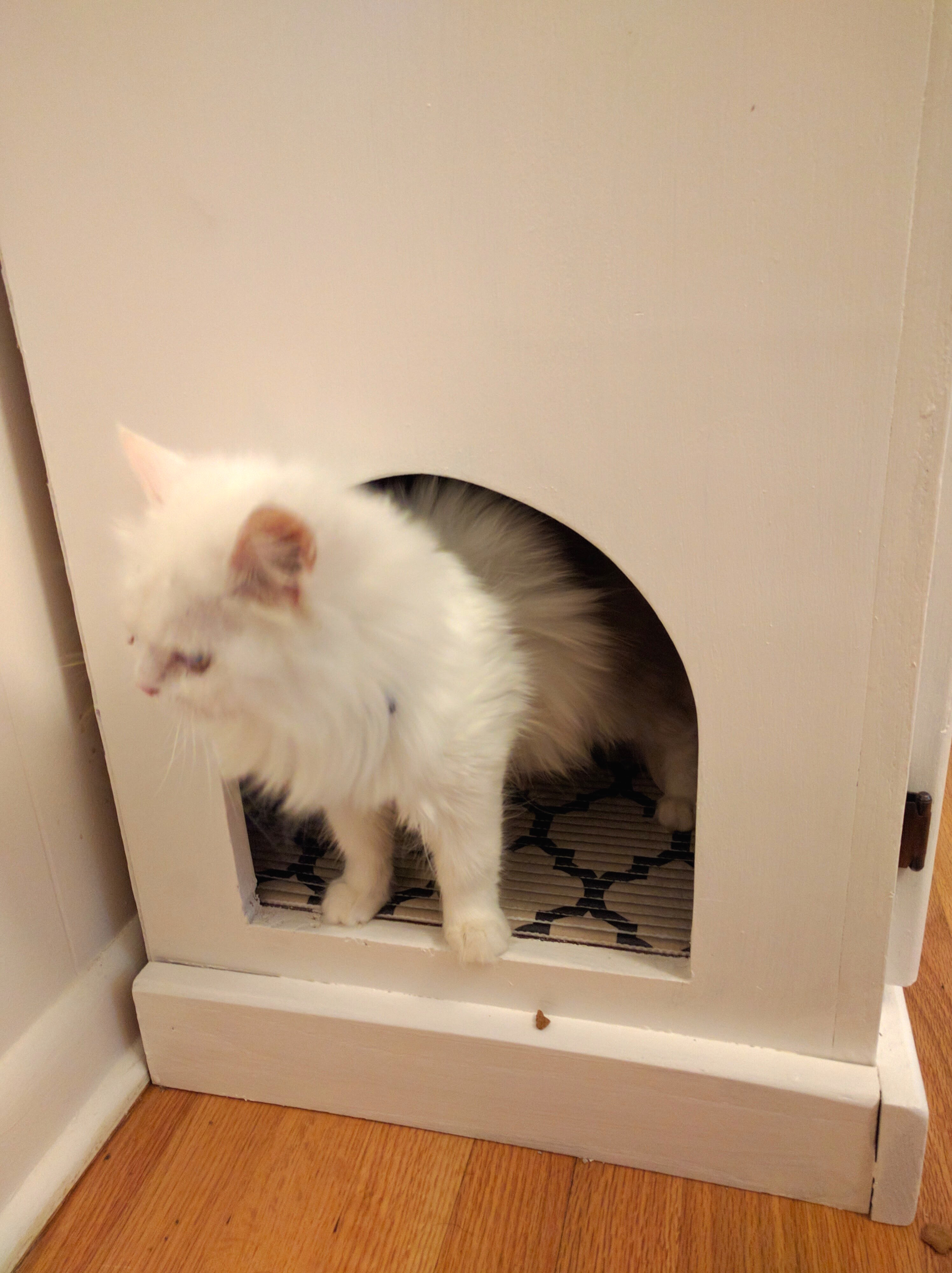 They Bring Home An Old Thrift Store Cabinet Set. Days Later? This Is ...