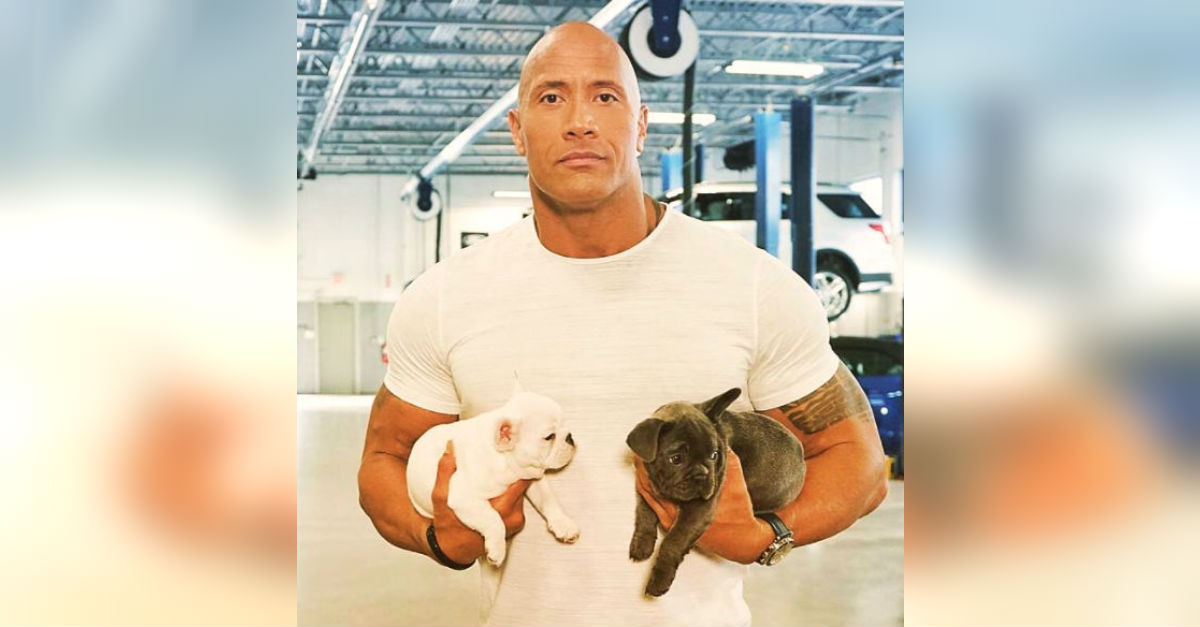 Dwayne Johnson Saves Puppy Named After Him | LittleThings.com