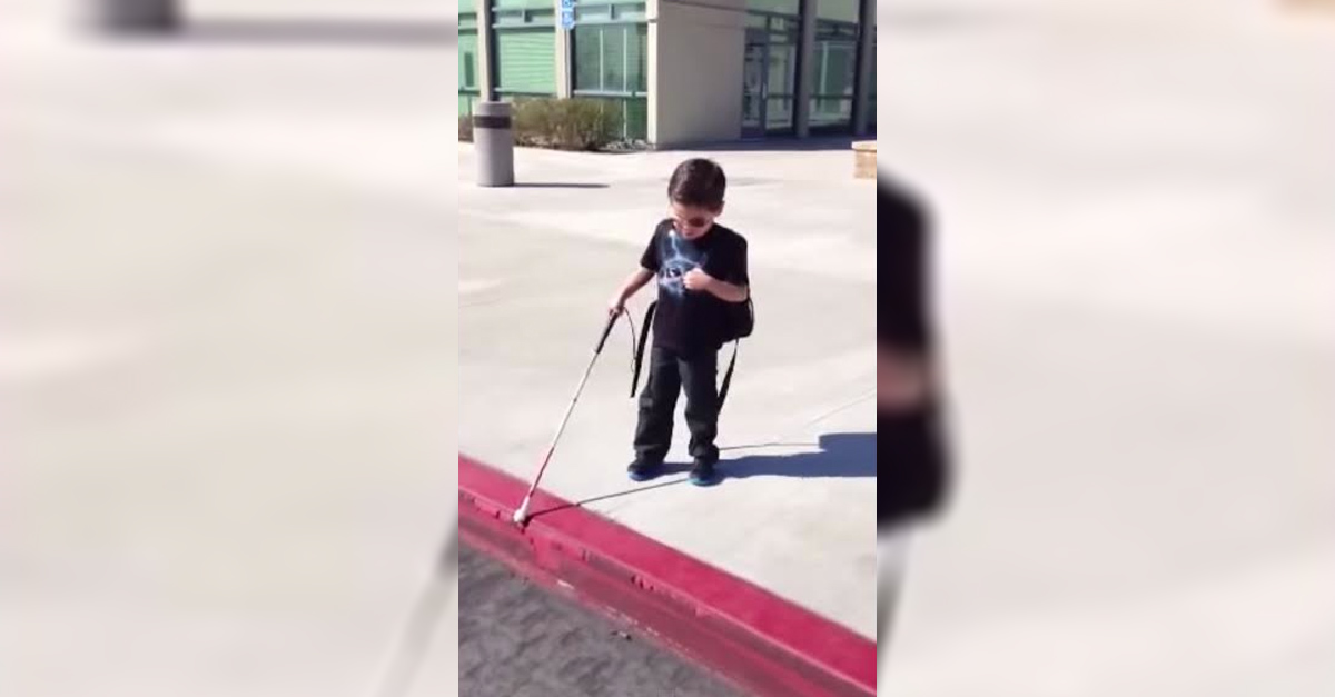 They Tell This Blind Little Boy To Step Off The Curb. When He Does, I ...