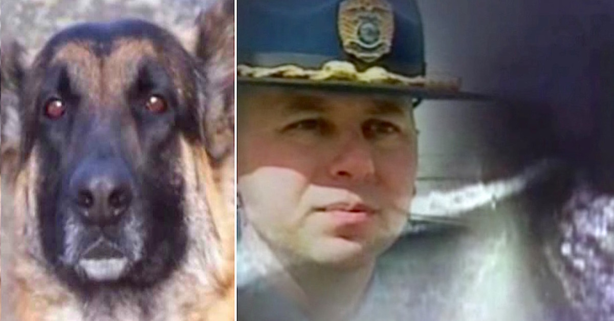 Trooper Lets A Dog Lead Him Down Winding Backroads — Then Realizes His ...