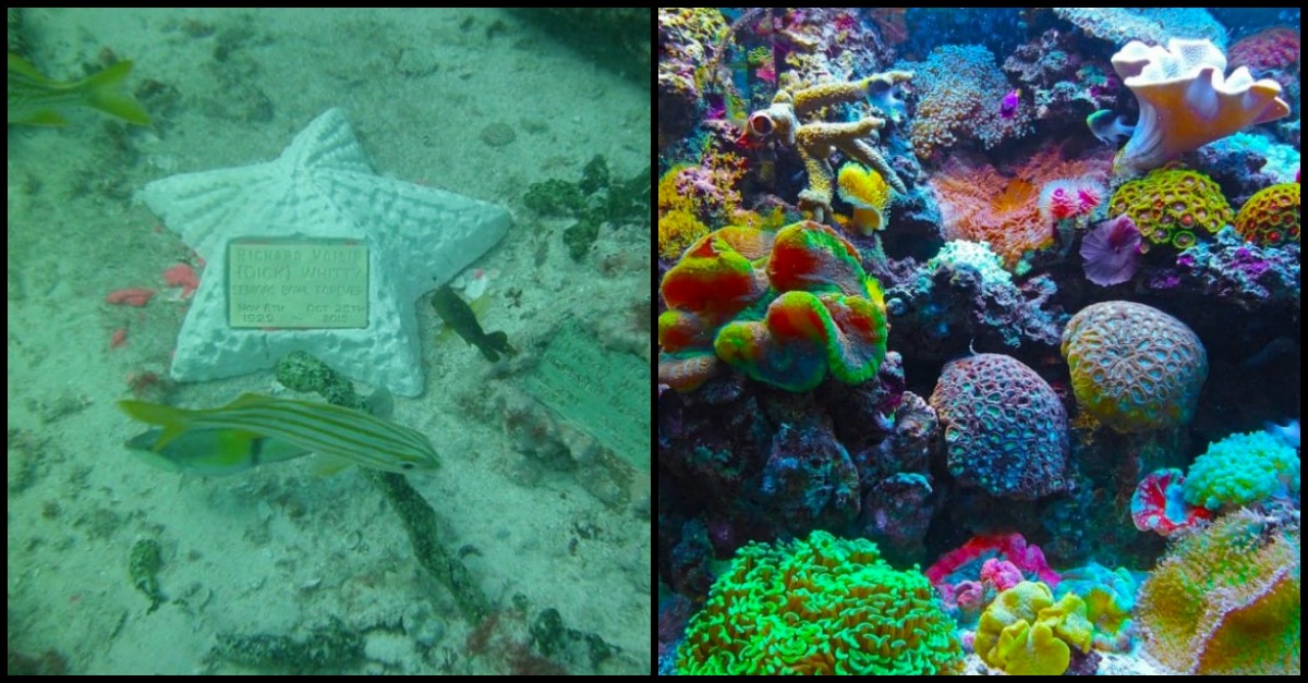 Underwater Graveyard Honors Loved Ones And Supports Ocean Life ...